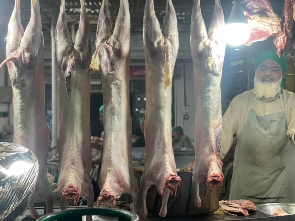 Handi House Jhelum — 2024 — Get Locations